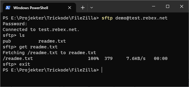 How To Use SFTP/FTP To Transfer Files To A Server | 2025